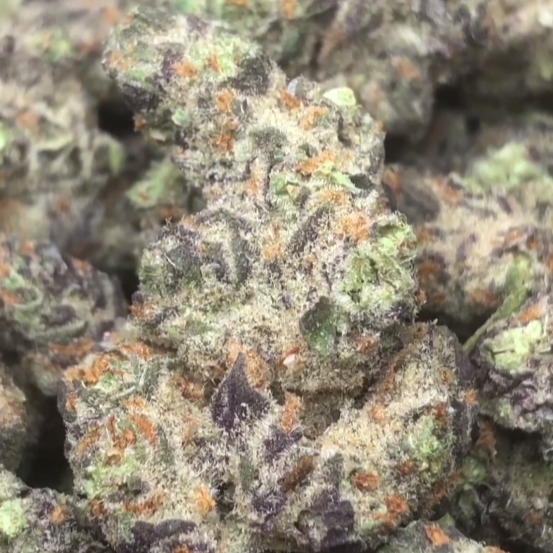 F1 29.3% Thca – Terp Thca