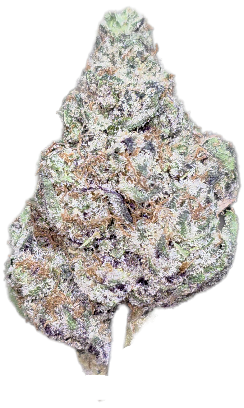 Cali Lemon Kush 35% THCA – Terp Thca