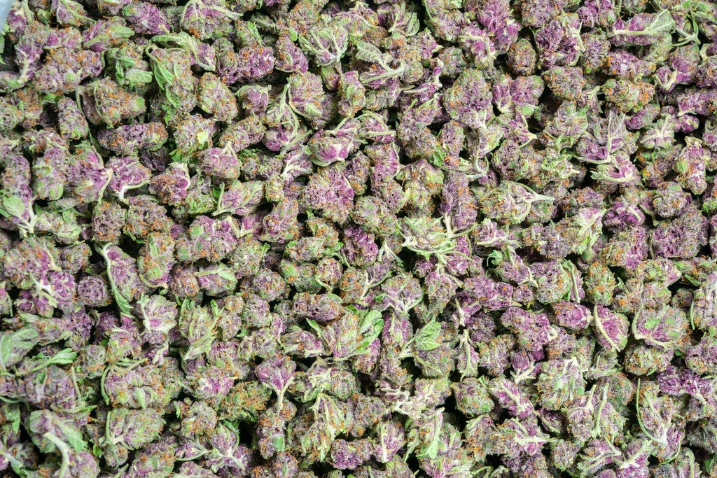 Blueberry Haze Smalls 31% – Terp Thca