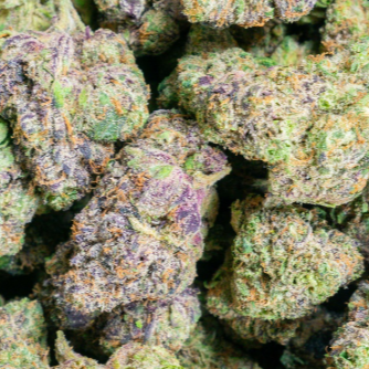 Lip Smackerz 31% THCa – Terp Thca