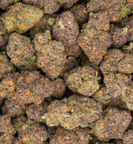 Toxic Punch 33% Thca Bulk – Terp Thca